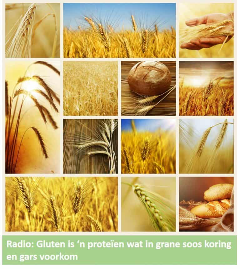 Radio: Gluten Is ‘n Proteïen Wat In Grane Soos Koring En Gars Voorkom ...